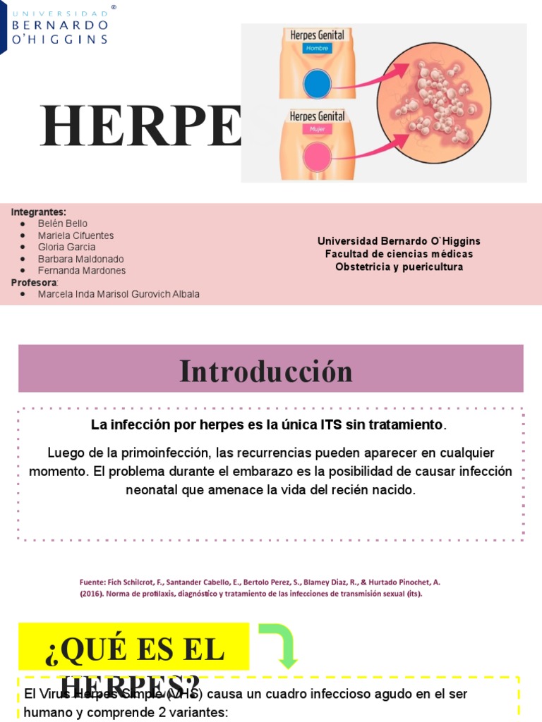 Presentación Herpes | PDF | Herpes Simple | Virus