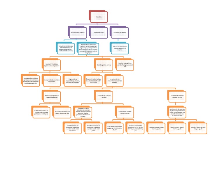 Mapa Conceptual Protocolo II | PDF