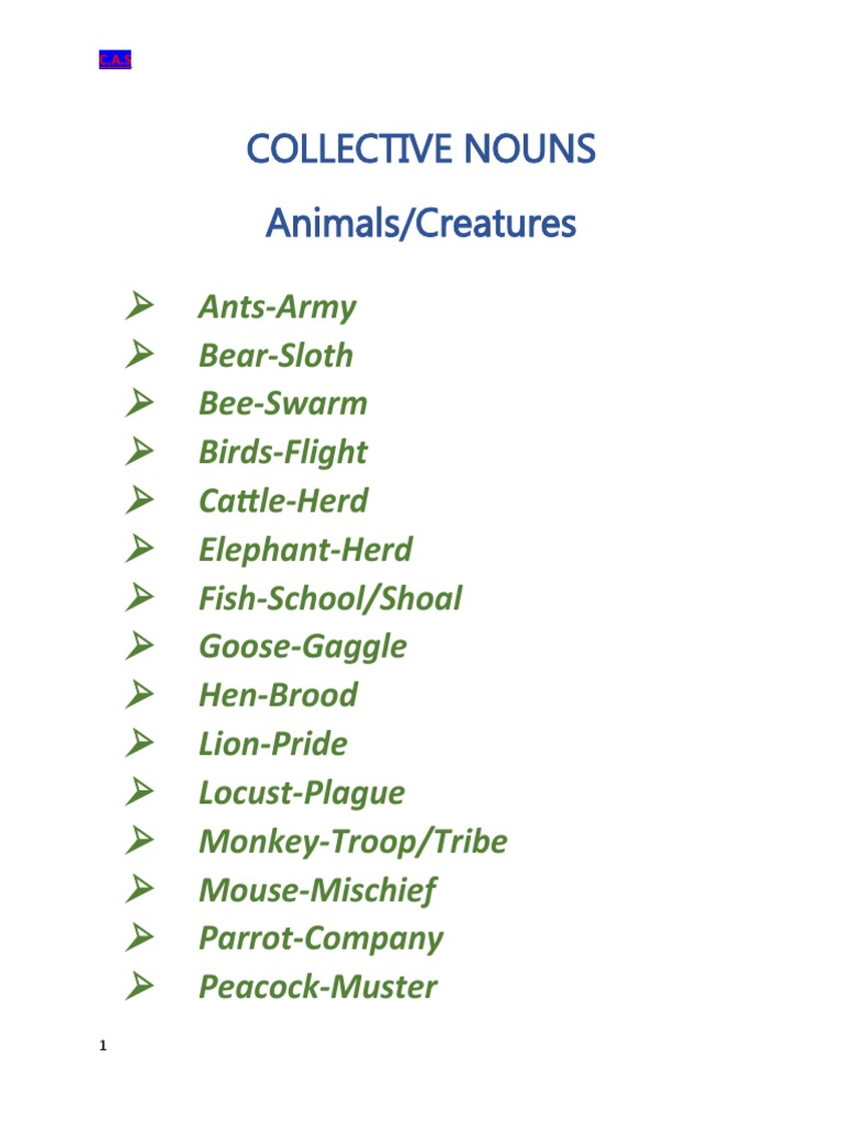 Collective Nouns | PDF | Science & Mathematics