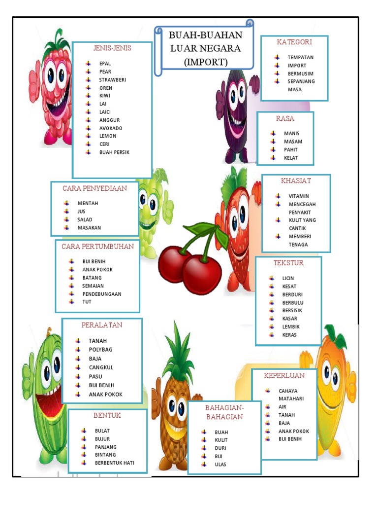 Web Dan Peta Minda Buah-Buahan | PDF