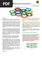 Modelo de Rothman | PDF