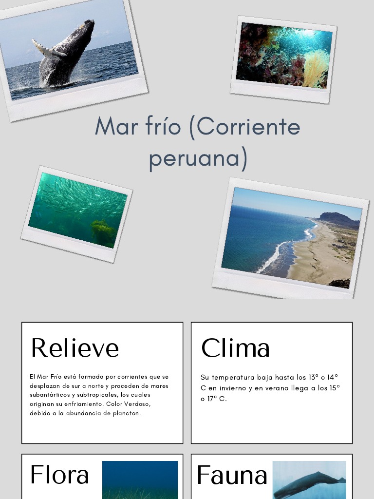 Ecor Region Es | PDF | Ciencias de la Tierra