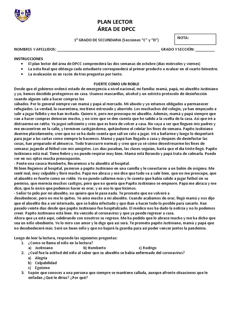 Plan Lector de DPCC | PDF