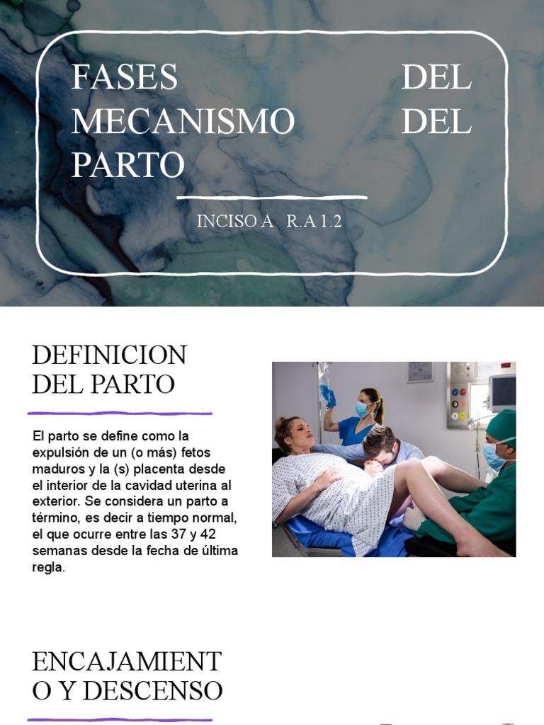 Faces Del Mecanismo de Parto 1.5 A | Descargar gratis PDF | Parto ...