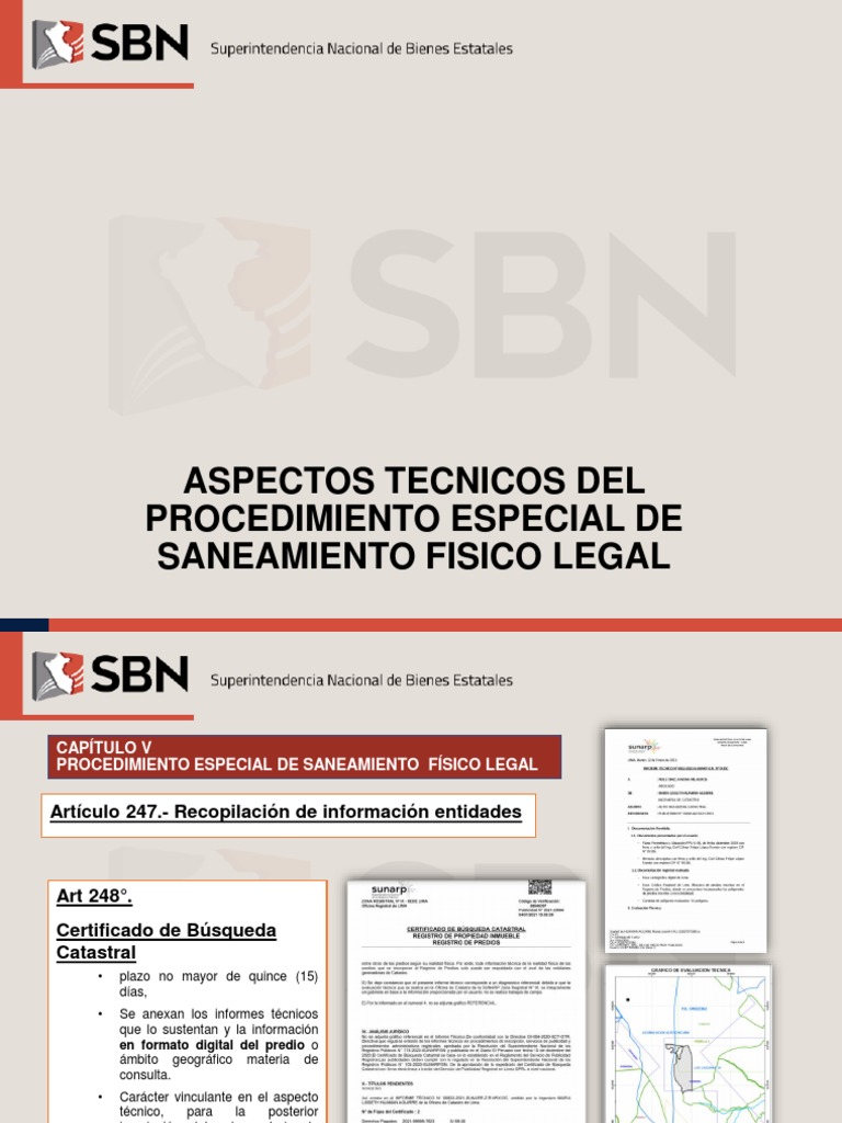 Aspectos Tecnicos Registrales Procedimiento Especial | PDF