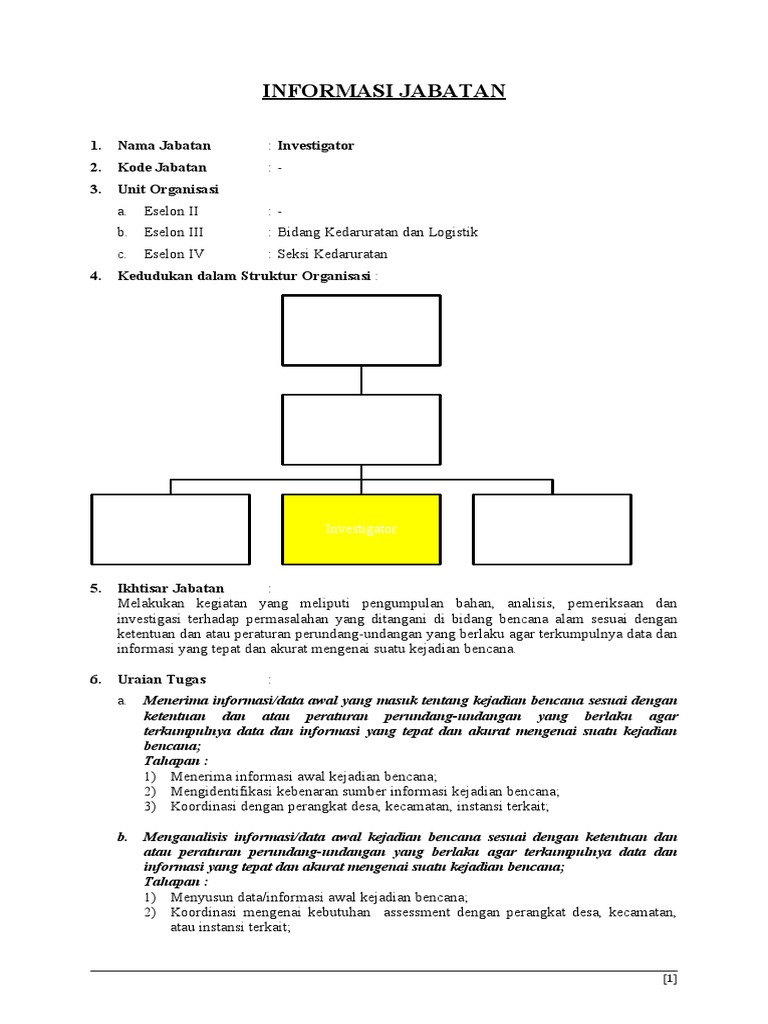 Form Anjab Investigator | PDF