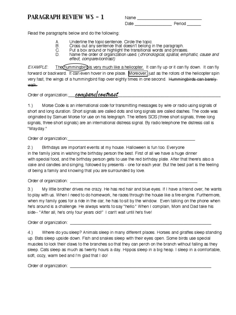 Paragraph Review Worksheet | PDF