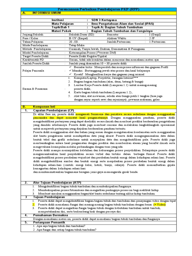 RPP Perbaikan PKP | PDF | Karier & Perkembangan | Kesehatan Holistik
