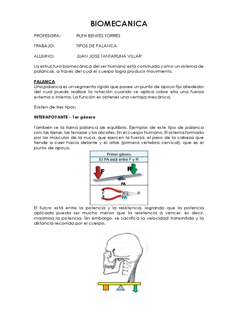 Tipos de Palancas en Biomecánica | PDF | Palanca | Mecánica
