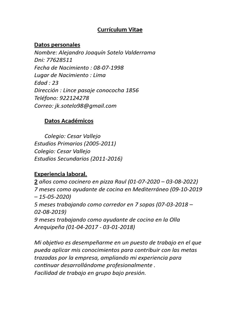 Alejandro CV Actualizado | PDF