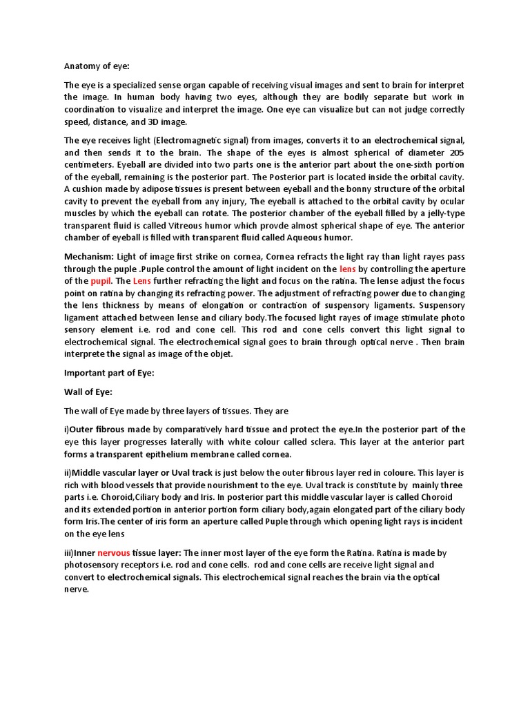 Anatomy of Eye | PDF | Human Eye | Eye