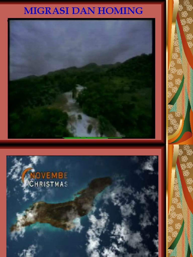 #7 - Migrasi & Homing | PDF | Sains & Matematika