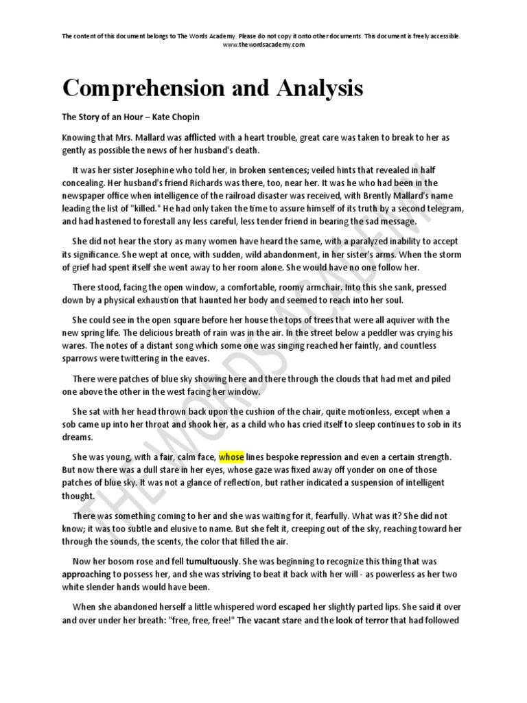 Comprehension Questions for Chopin's Story | PDF | General Fiction