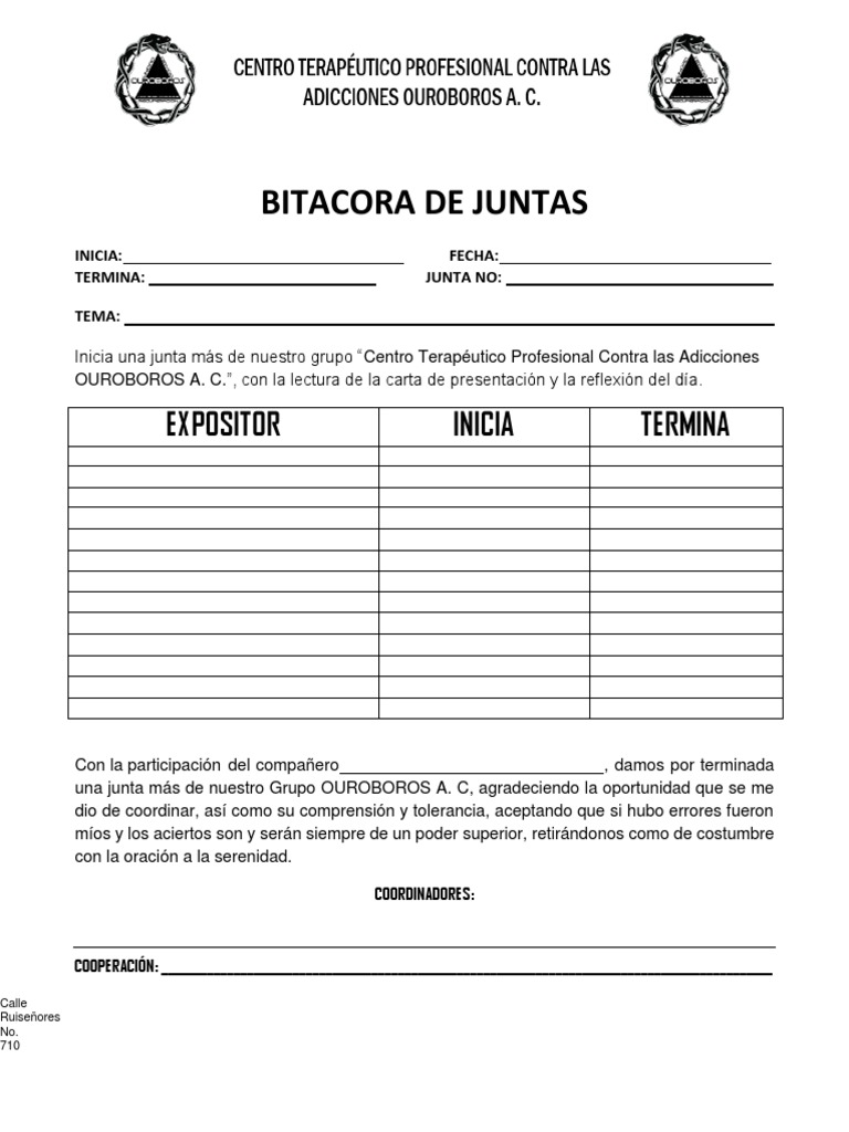 Bitacora de Juntas | PDF