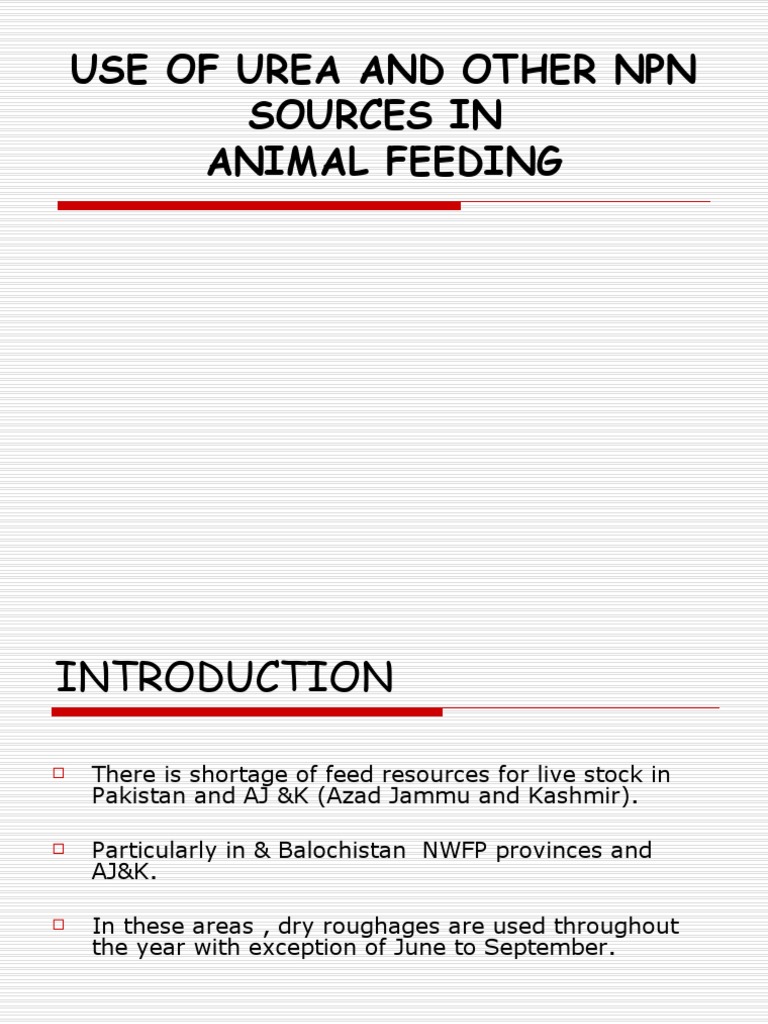 Urea NPN Sources | Download Free PDF | Ammonia | Urea