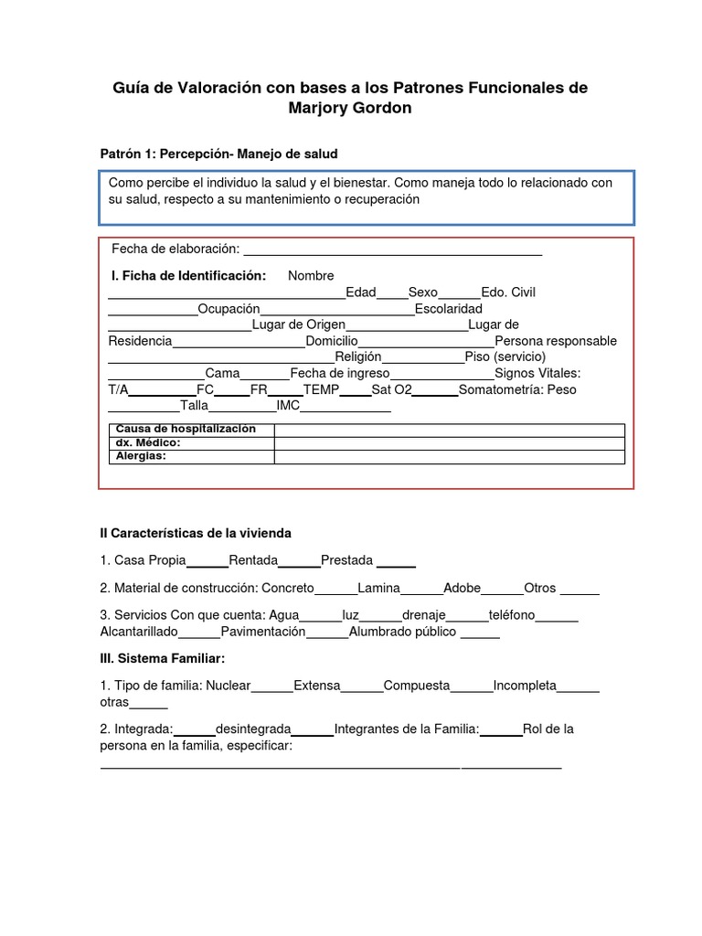 Guía de Valoración Con Bases A Los Patrones Funcionales de Marjory Gordon | PDF | El embarazo ...