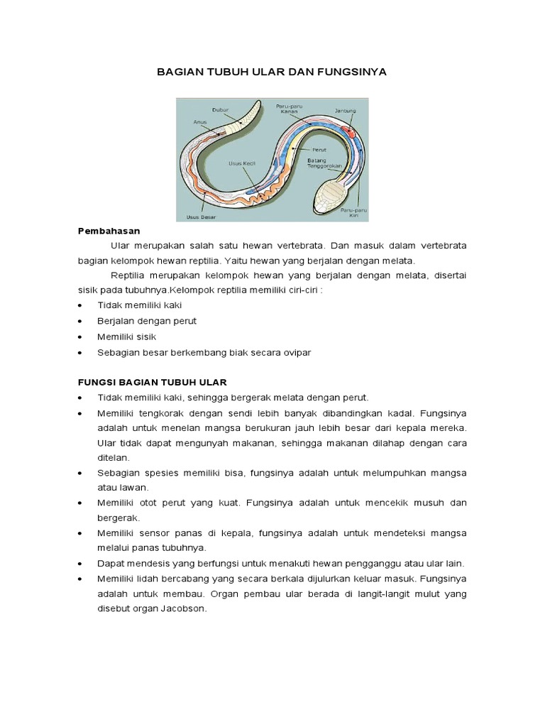 Bagian Tubuh Ular Dan Fungsinya | PDF