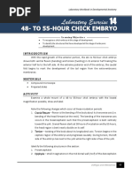 48 96 Hour Chick Embryo Wholoe Mount and Serial Sections Embryology ...
