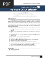 48 96 Hour Chick Embryo Wholoe Mount and Serial Sections Embryology ...