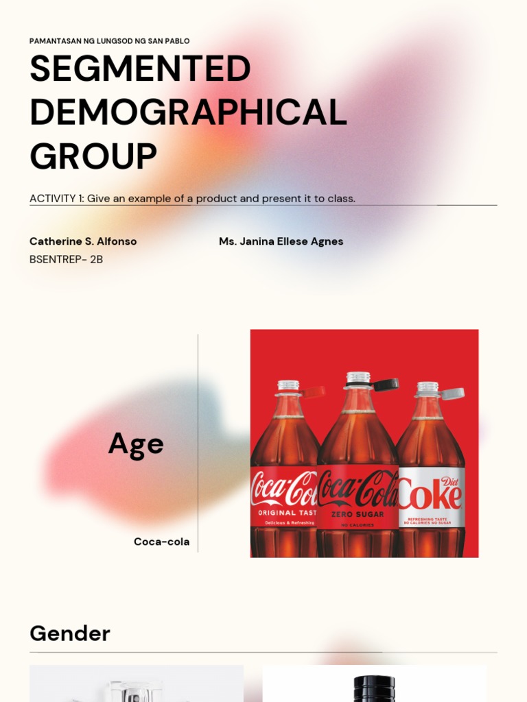 Segmented Demographical Group Examples | PDF | Social Science