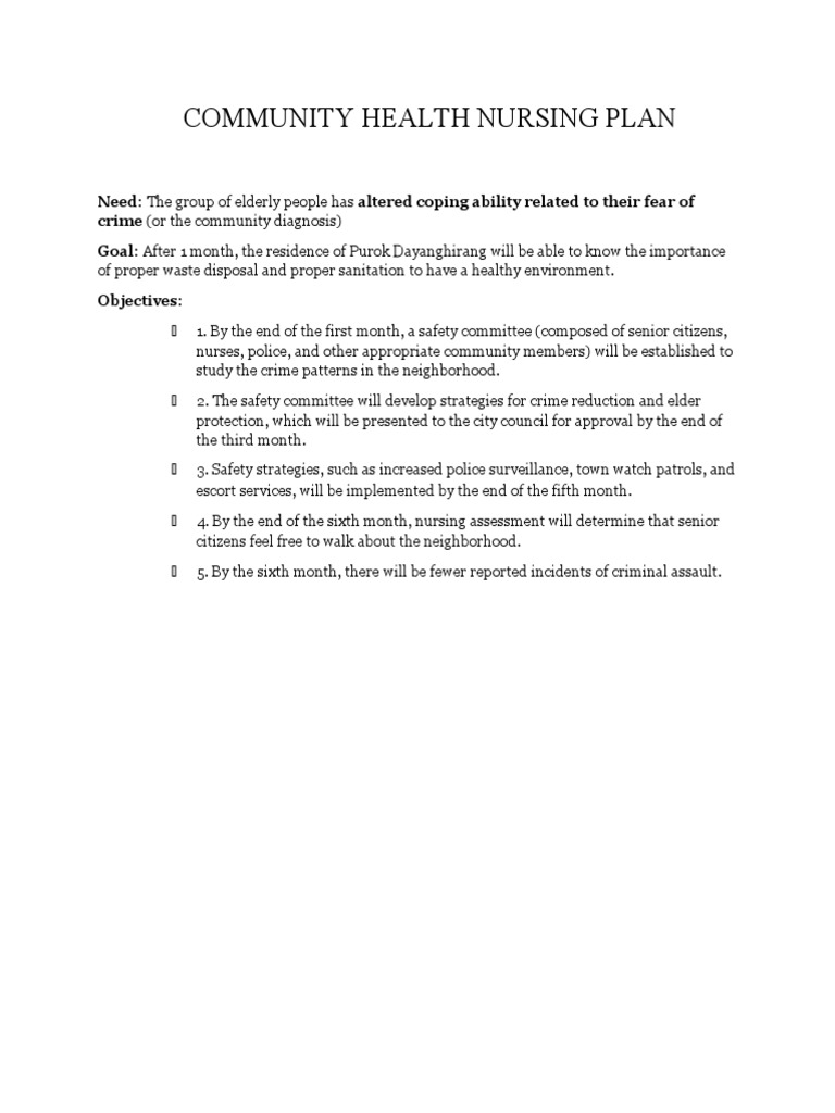 CHN Plan Format - Sample | PDF