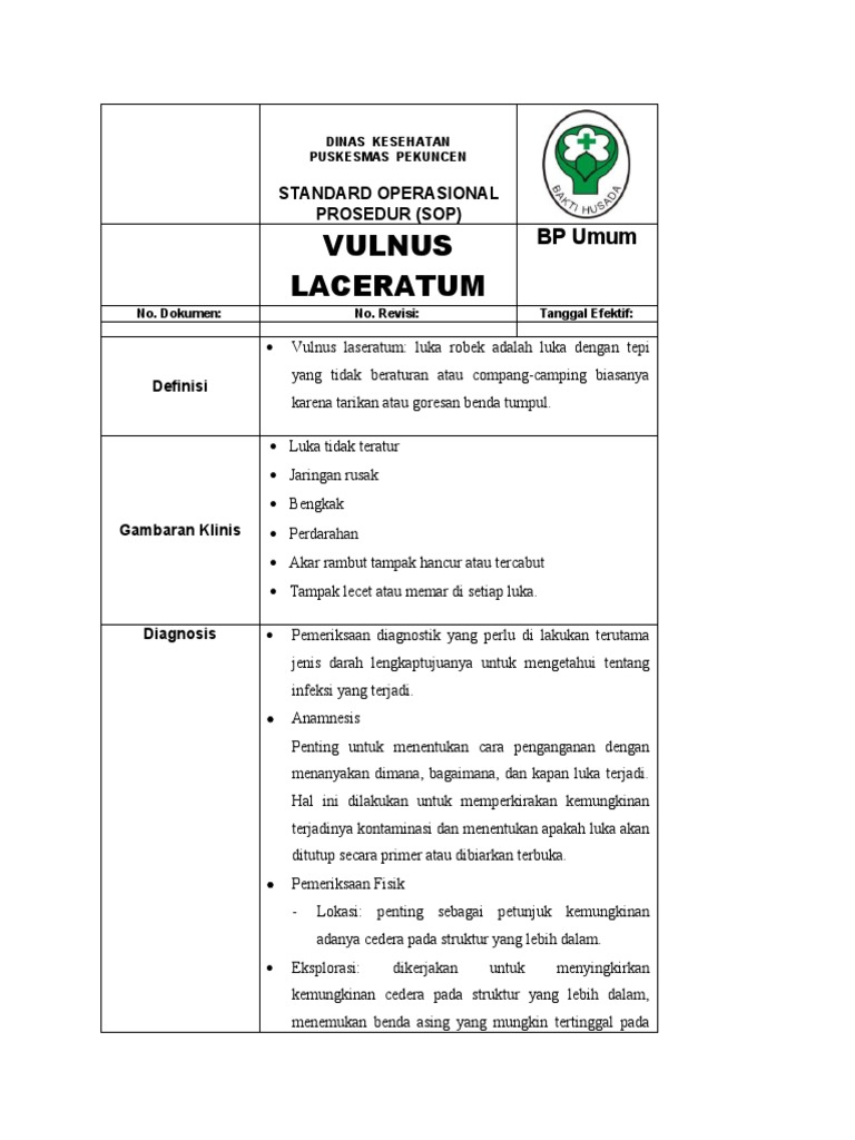 Penanganan Luka Vulnus Laceratum | PDF