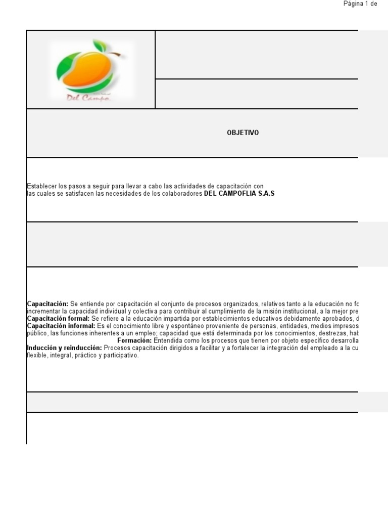 Plantilla Programas | PDF | Creación de capacidad | Seguridad y salud ocupacional