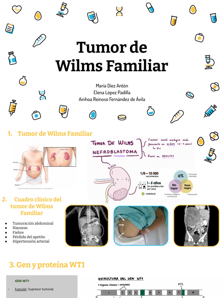 Tumor de Wilms Familiar: Gen WT1 y Patogénesis | PDF | Gen supresor de ...