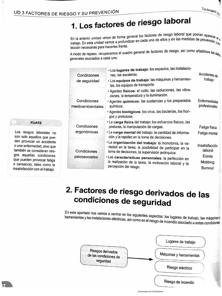Fol Tema 3 | PDF