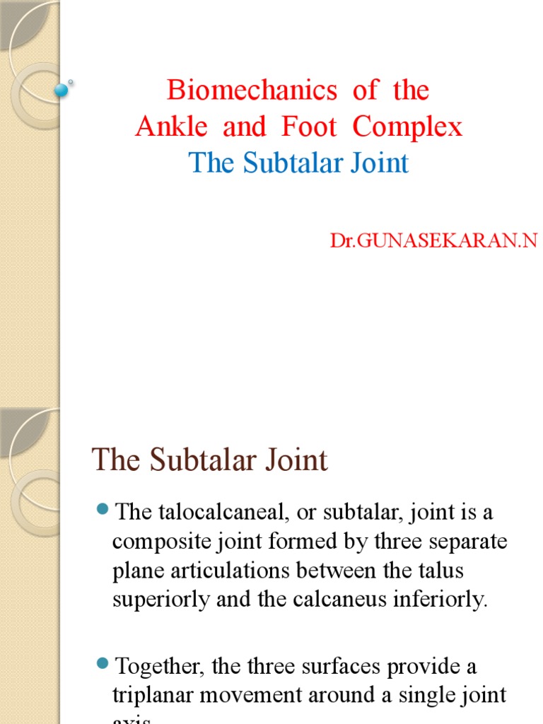 Ankle N Foot 3 | PDF | Anatomical Terms Of Motion | Foot