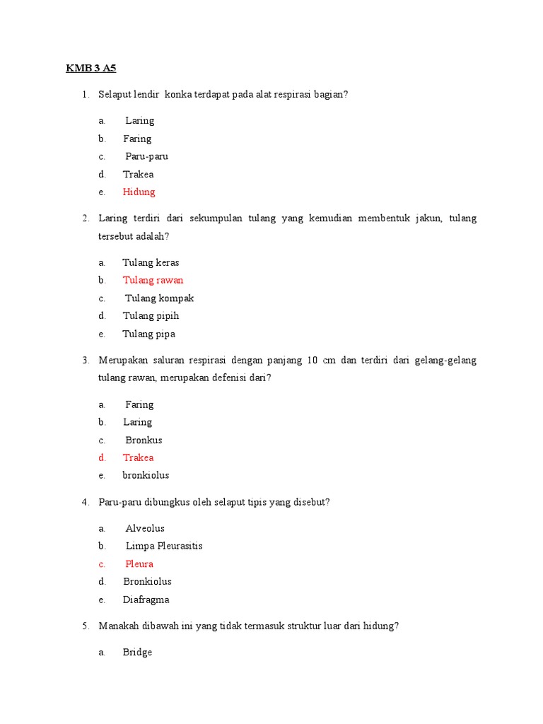 Soal UTS KMB 5 | PDF