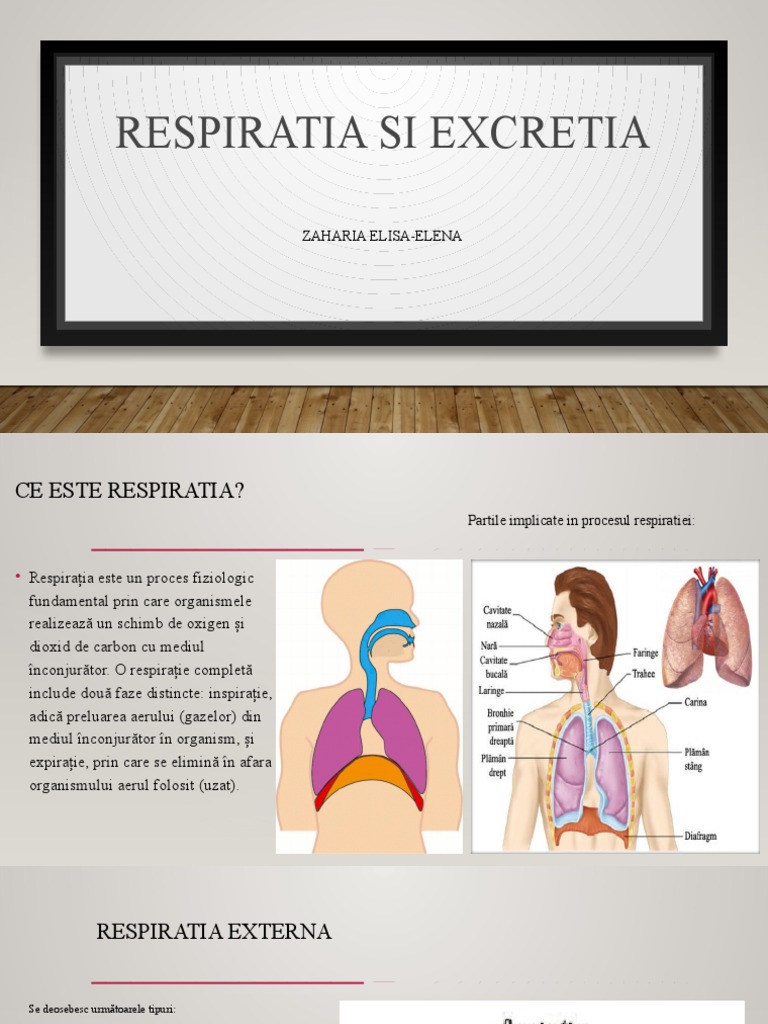 Respiratia Si Excretia | PDF