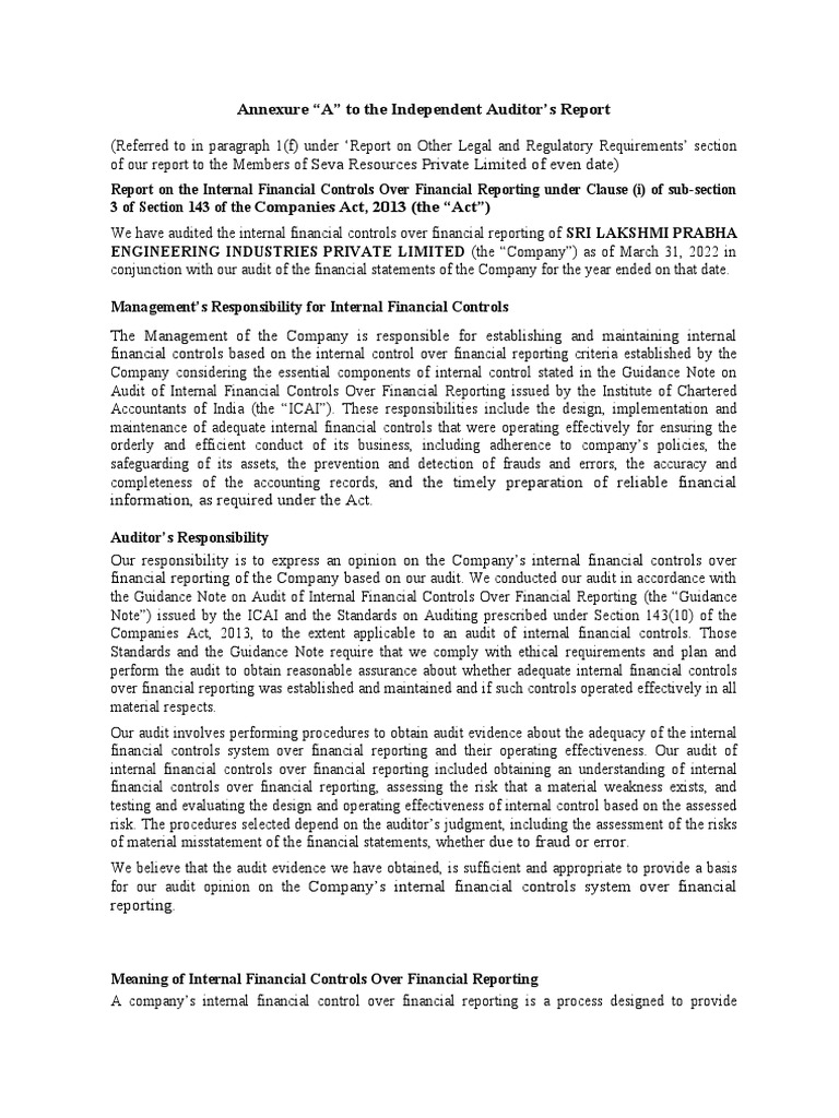 Auditor's Report on Internal Financial Controls | PDF | Internal Control | Financial Audit