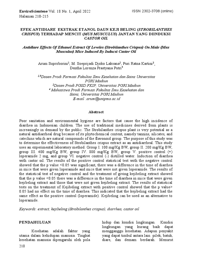 Ekstrak Keji Beling | PDF