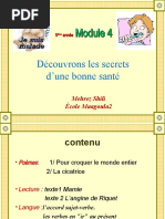 Résumé de "Malik et Flèche" | PDF