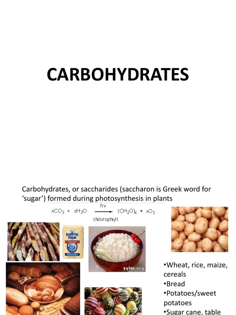 Carbs & Lipids | PDF | Lipoprotein | Carbohydrates