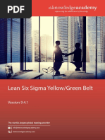 Lean Six Sigma Yellow Belt Project Examples | PDF | Six Sigma | Energy ...