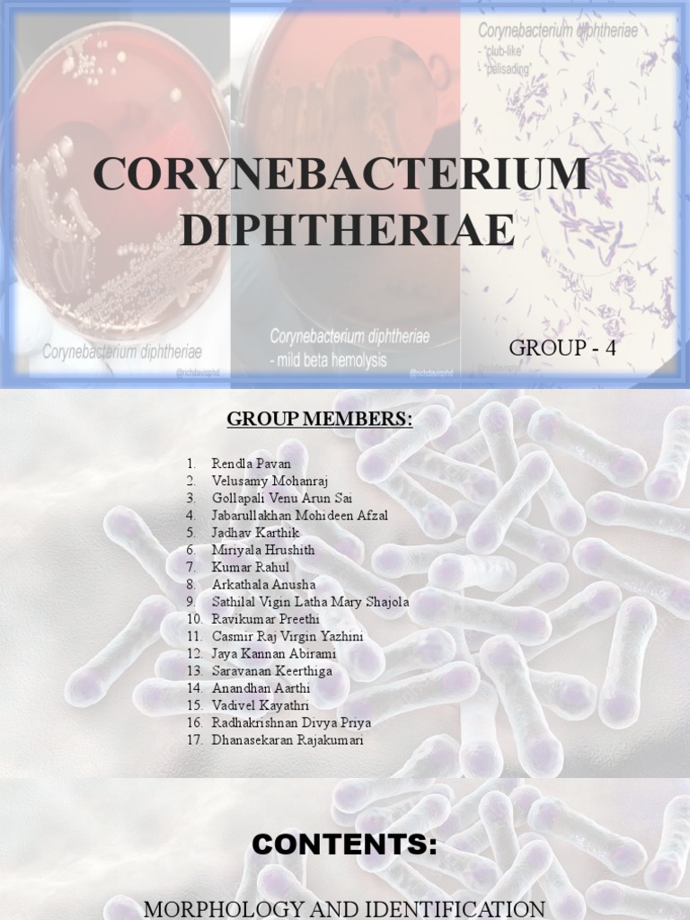 Corynebacterium Diphtheriae | PDF | Infection | Causes Of Death