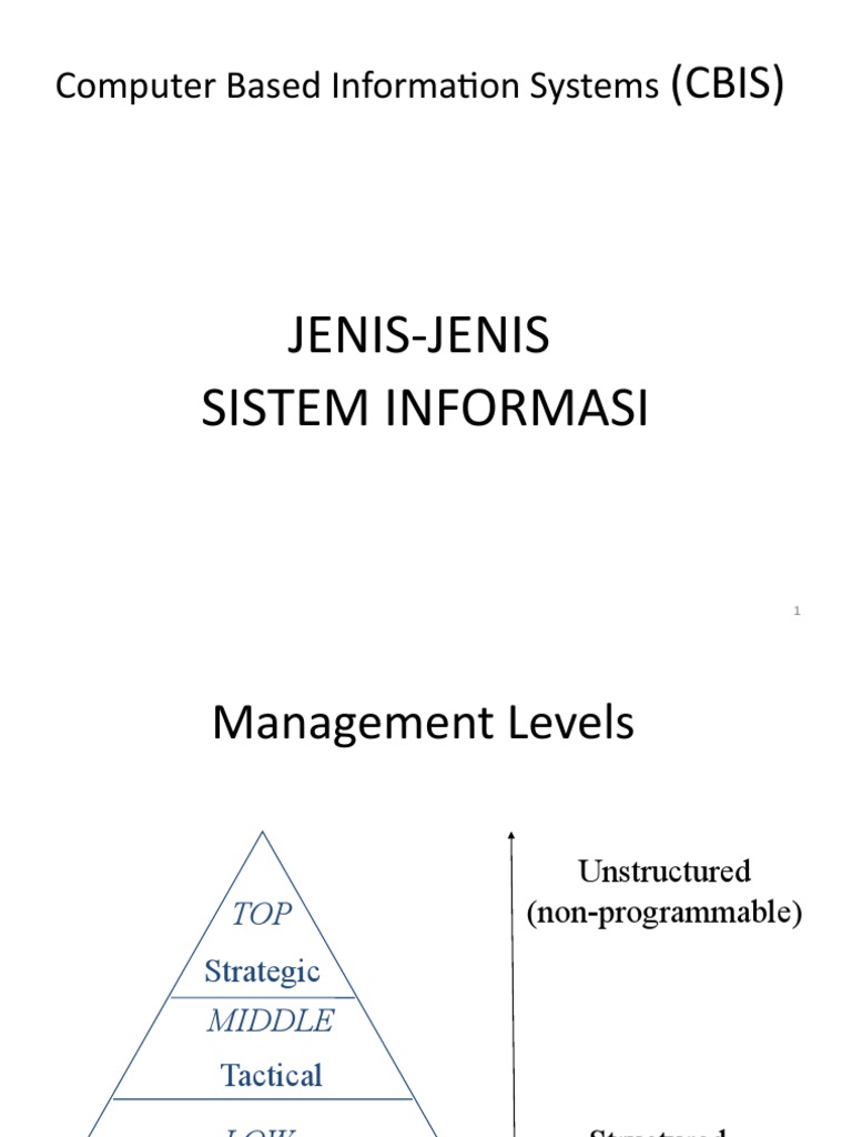 2 CBIS Jenis-Jenis Sistem Informasiii | Download Free PDF | Information ...