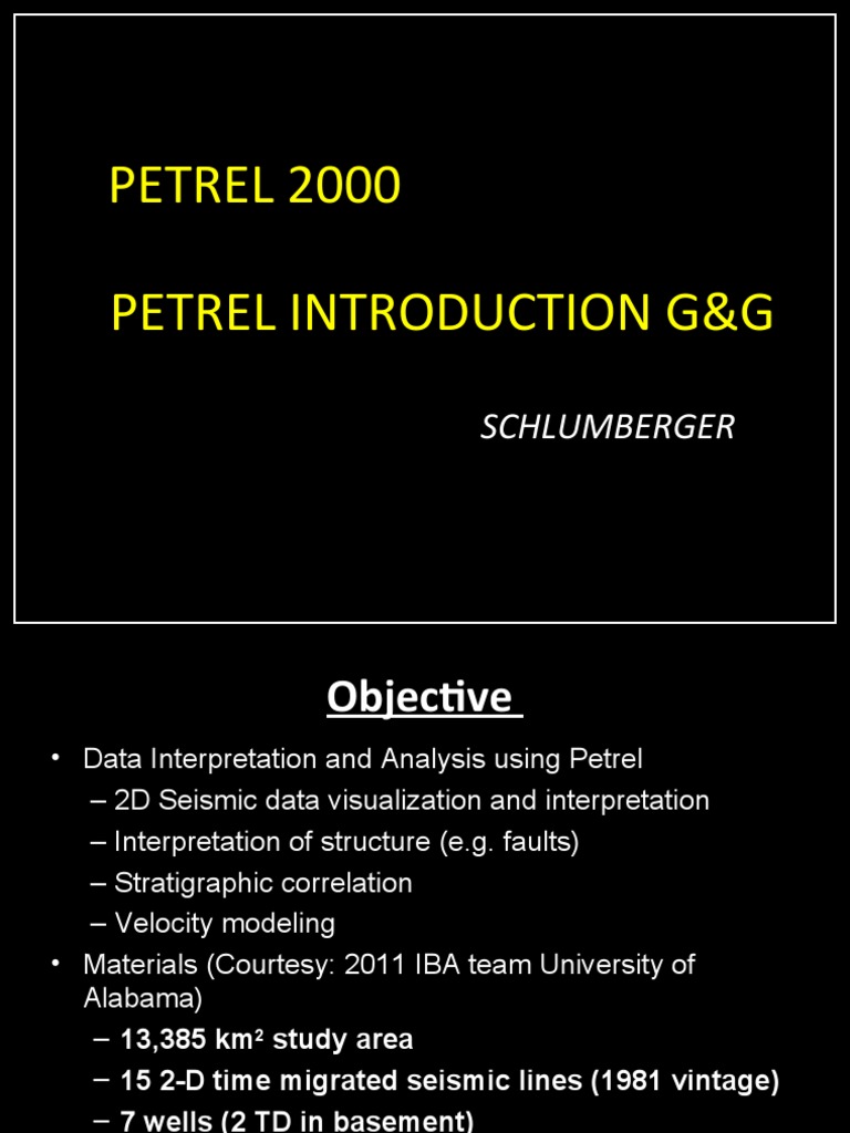Petrel Introduction | PDF | Reflection Seismology | Computing