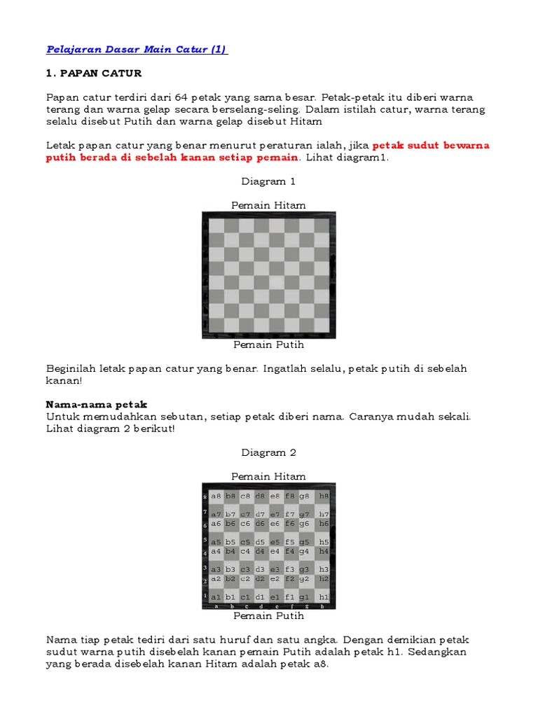 Pelajaran Dasar Main Catur | PDF