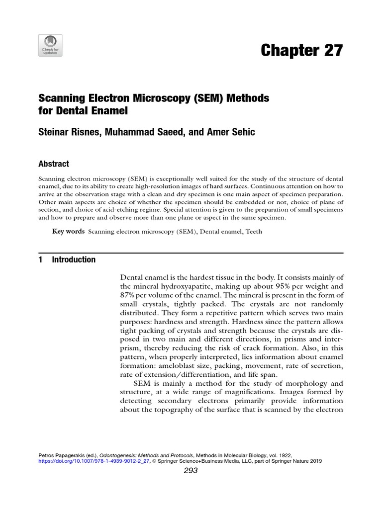 Scanning Electron Microscopy (SEM) Methods For Dental Enamel | PDF ...
