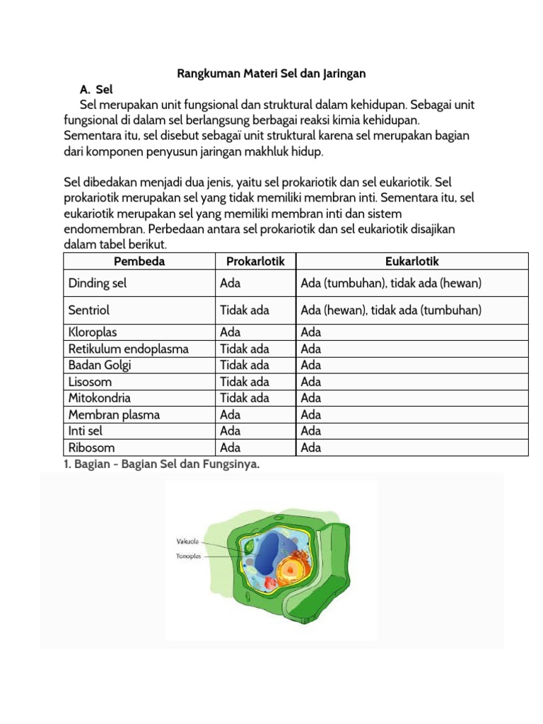Resum Sel Jaringan Dan Struktur Jaringan | PDF