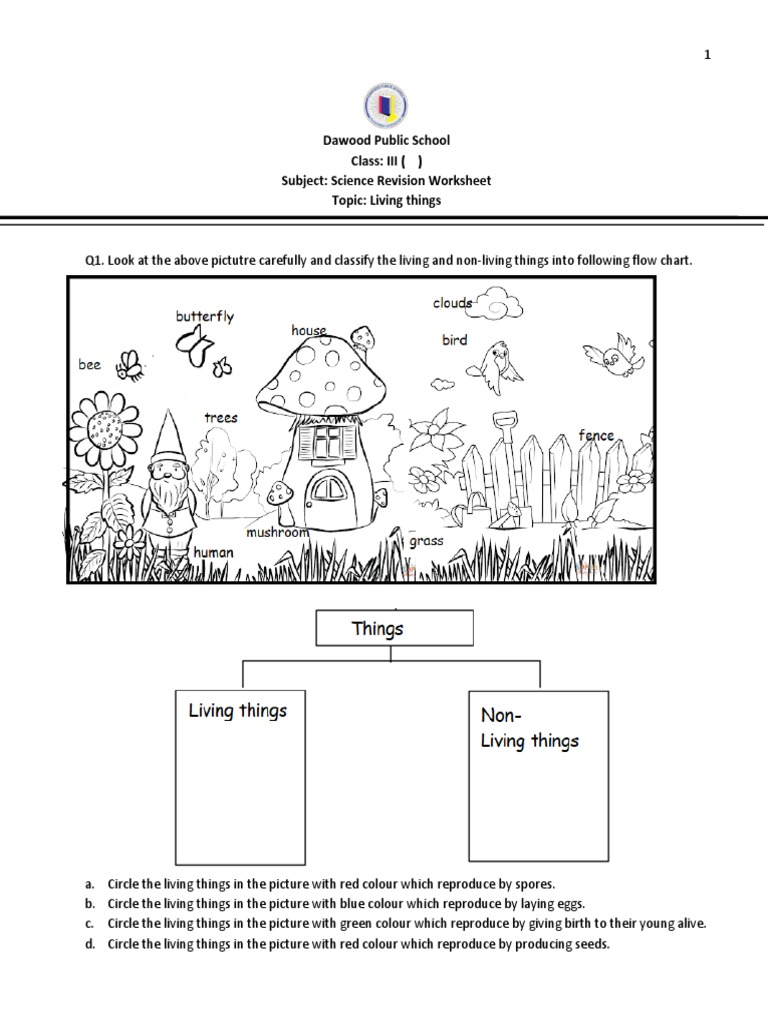 Living Things Revision | PDF | Biology | Organisms