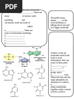 Amoeba Sisters: Video Recap Enzymes | PDF | Catalase | Enzyme