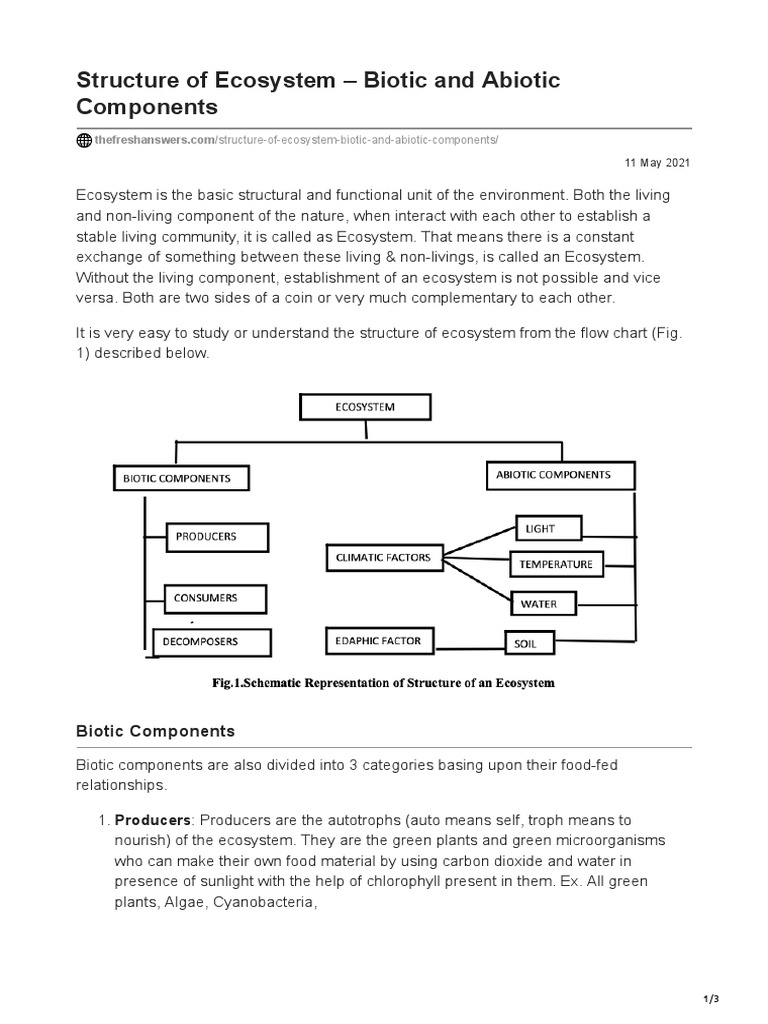 Structure of Ecosystem Biotic and Abiotic Components | PDF | Ecosystem ...