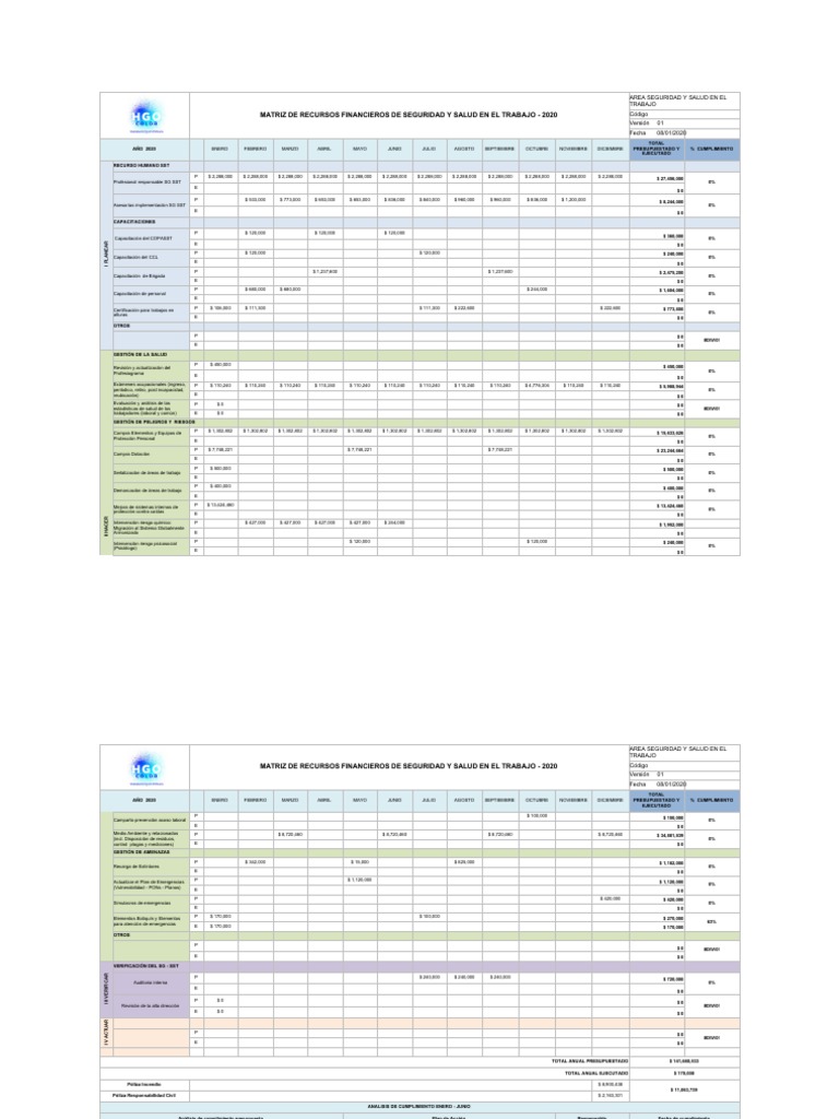 Matriz de Recursos SST 2020 | PDF | Ciencias de la Salud Matriz de Recursos SST 2020 | PDF | Ciencias de la Salud