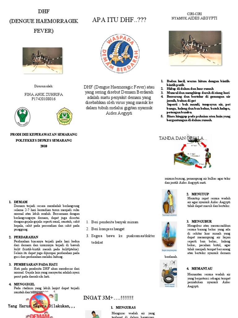 Leaflet DHF | PDF