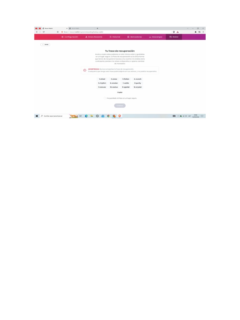 Brave Wallet | PDF