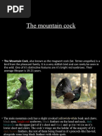 CLASS 3 SCIENCE CHAPTER 3 BIRDS Mrs. Geetarani Das | PDF | Birds | Feather